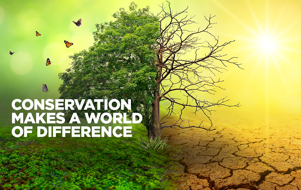 GrantNews : Ten Grants for World Conservation Day