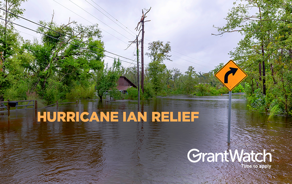 Have You Been Affected By Hurricane Ian? Find Help Today Here