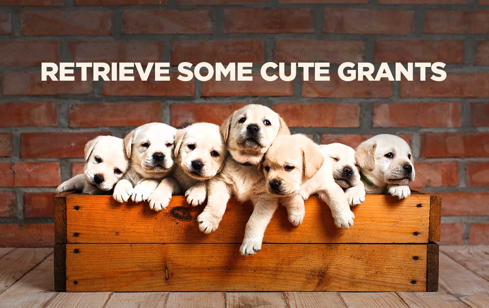 It's National Puppy Day! And We Have All the Grants for Animal Lovers
