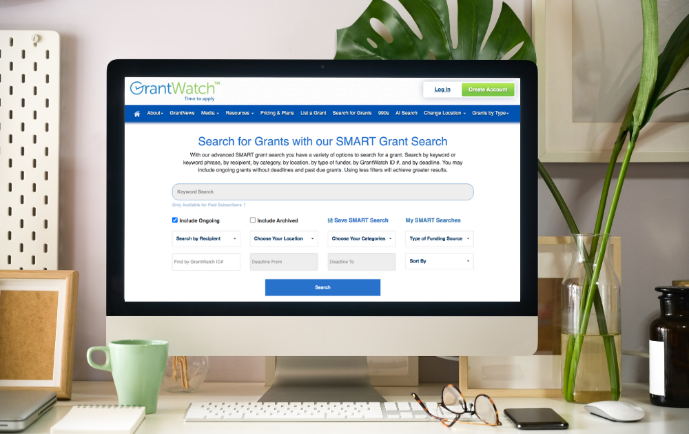 A Beginner's Guide to Grants : What You Need to Know