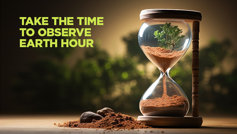 Earth Hour Is Here! How Are You Going to Spend It?