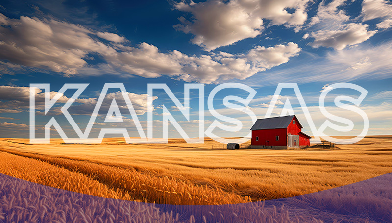 Spotlight on Kansas Grants: The Breadbasket of the World