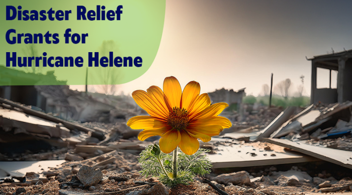 Disaster Response Funding For Hurricane Helene - GrantNews