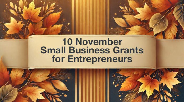 10 November Small Business Grants for Entrepreneurs - GrantNews