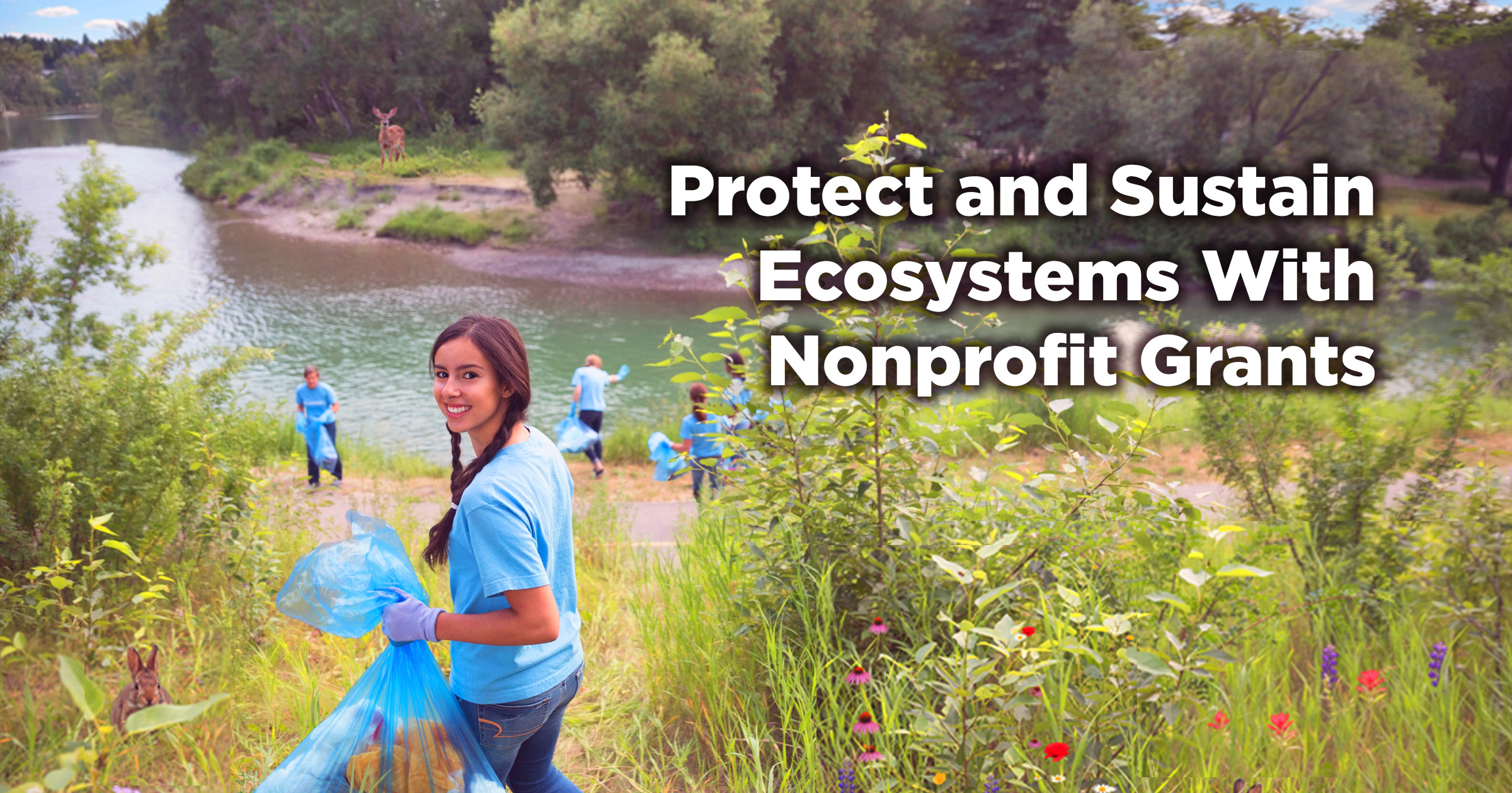 Wildlife Ecosystems: Nonprofit Grants to Protect and Sustain